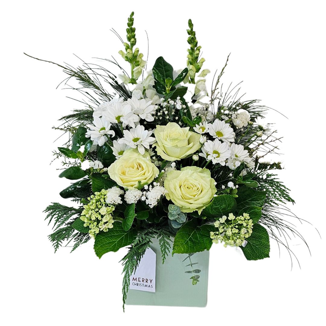 White Christmas – Native Florist Whangarei